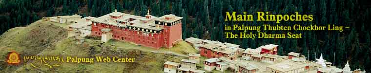 Main Rinpoches in Palpung Monastery